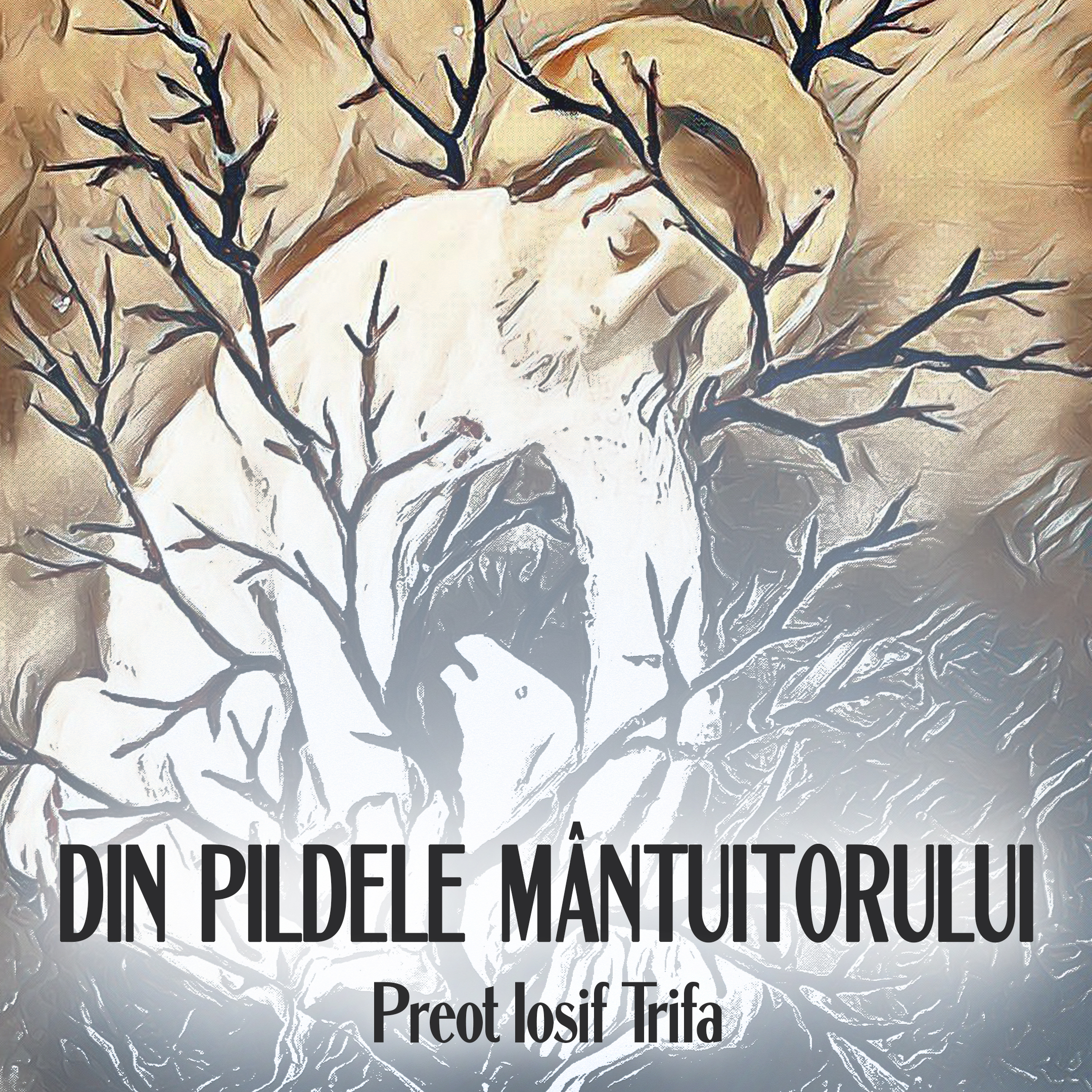Din pildele Mântuitorului | Creator