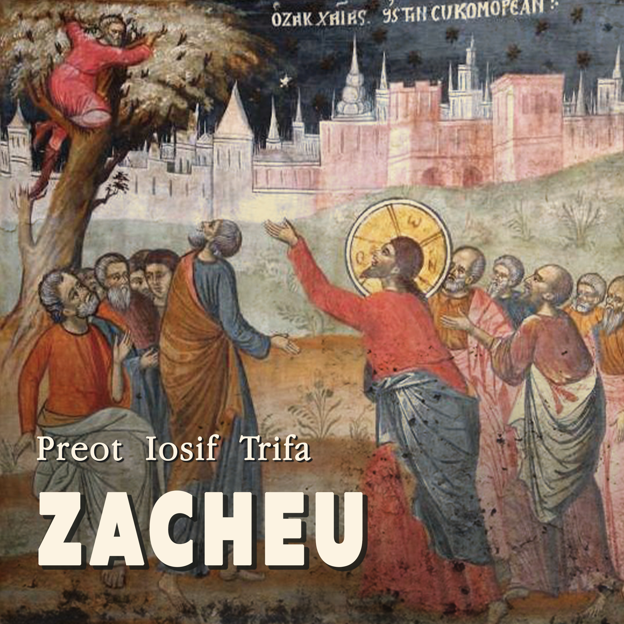 Zacheu | Creator