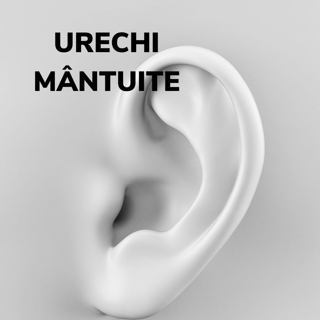 12. Urechi mântuite | CREATOR.TV o platformă media ortodoxă